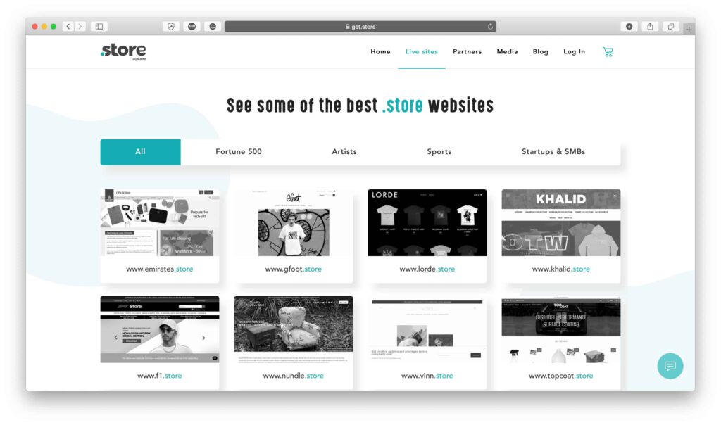 .STORE Domains Review: Branded Domains for Online Retail Businesses
